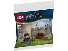 Конструктор LEGO Harry Potter 30706 Урок по Квиддичу